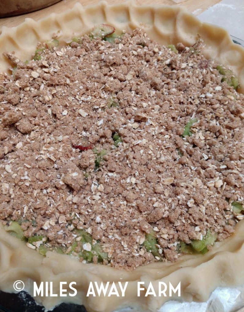 Be-Bop-a-Rebop Rhubarb Custard Pie | Miles Away Farm Blog