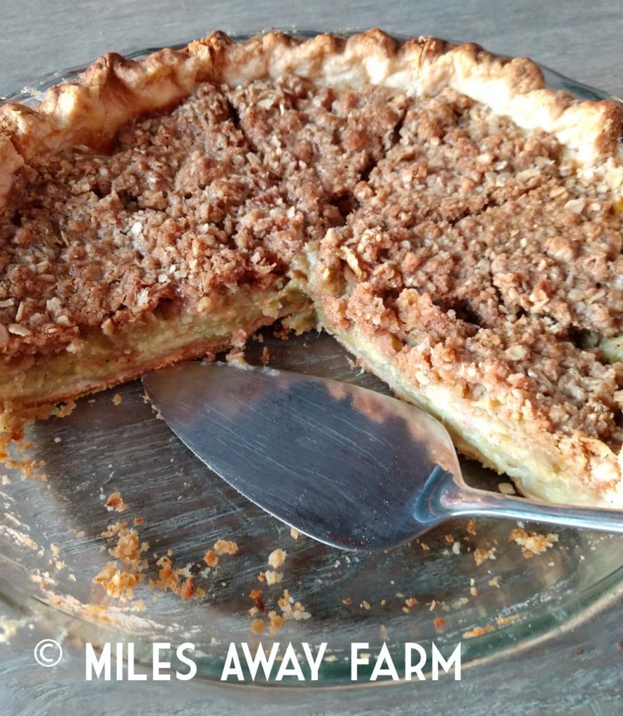 Be-Bop-a-Rebop Rhubarb Custard Pie | Miles Away Farm Blog