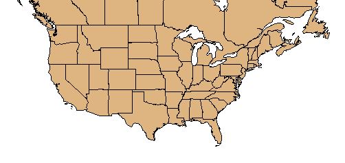 Easier Spanakopita – and Foraging the Yard | Miles Away Farm Blog